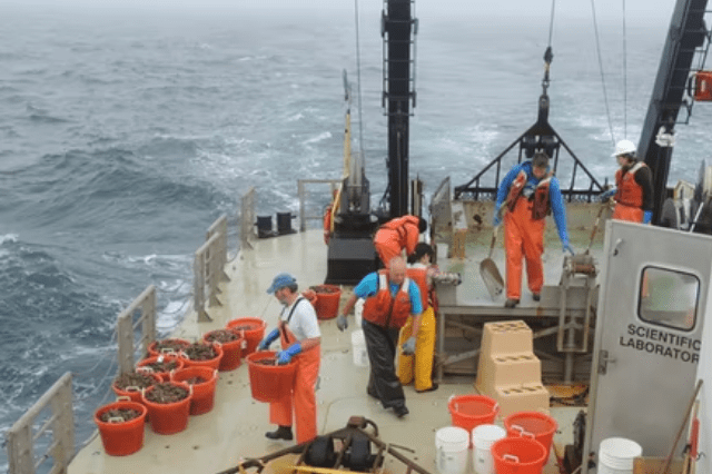 Mariculture or marine farming | ED4WO